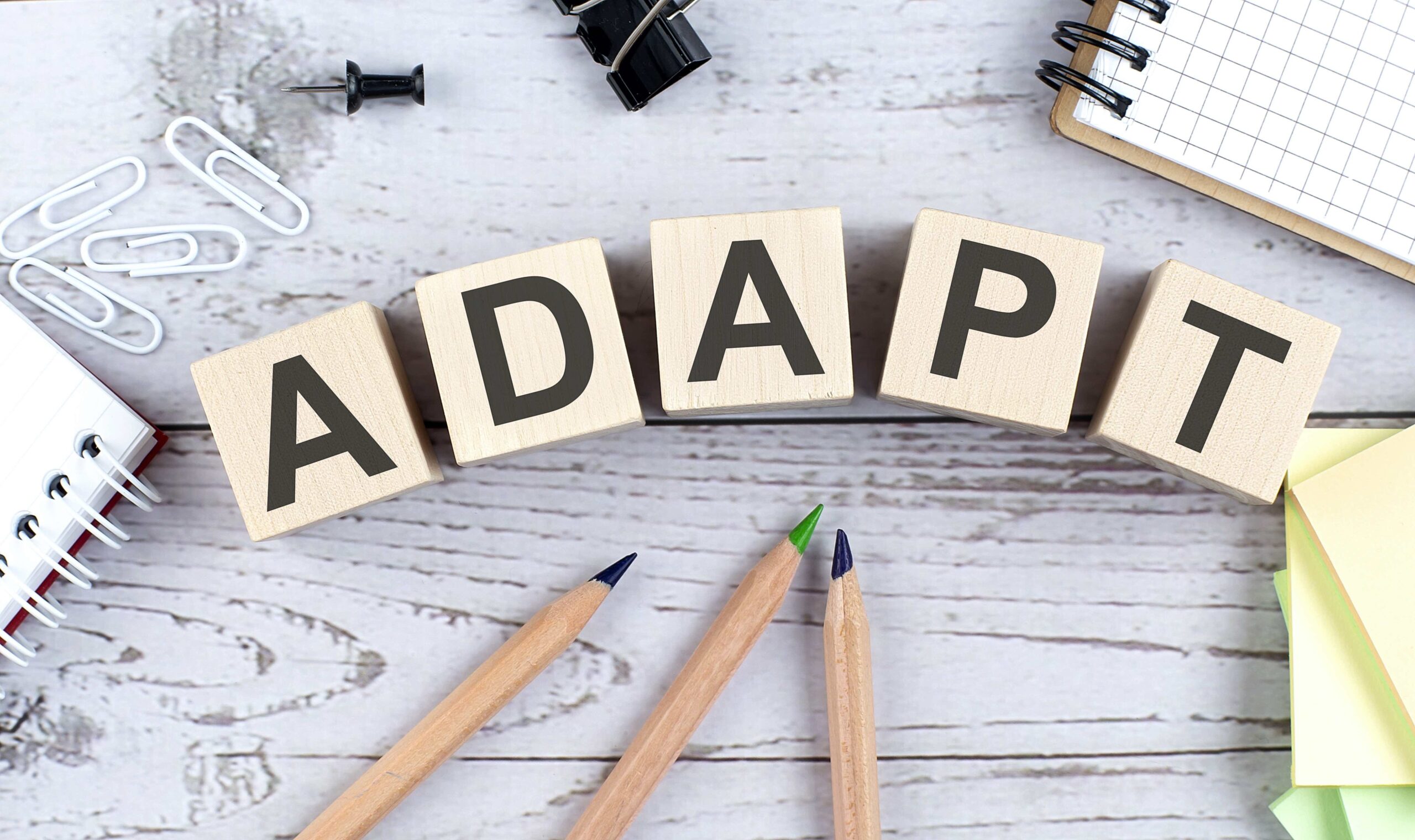 Adaptability is the new efficiency - Talent Management Adaptability is the new efficiency - Talent Management